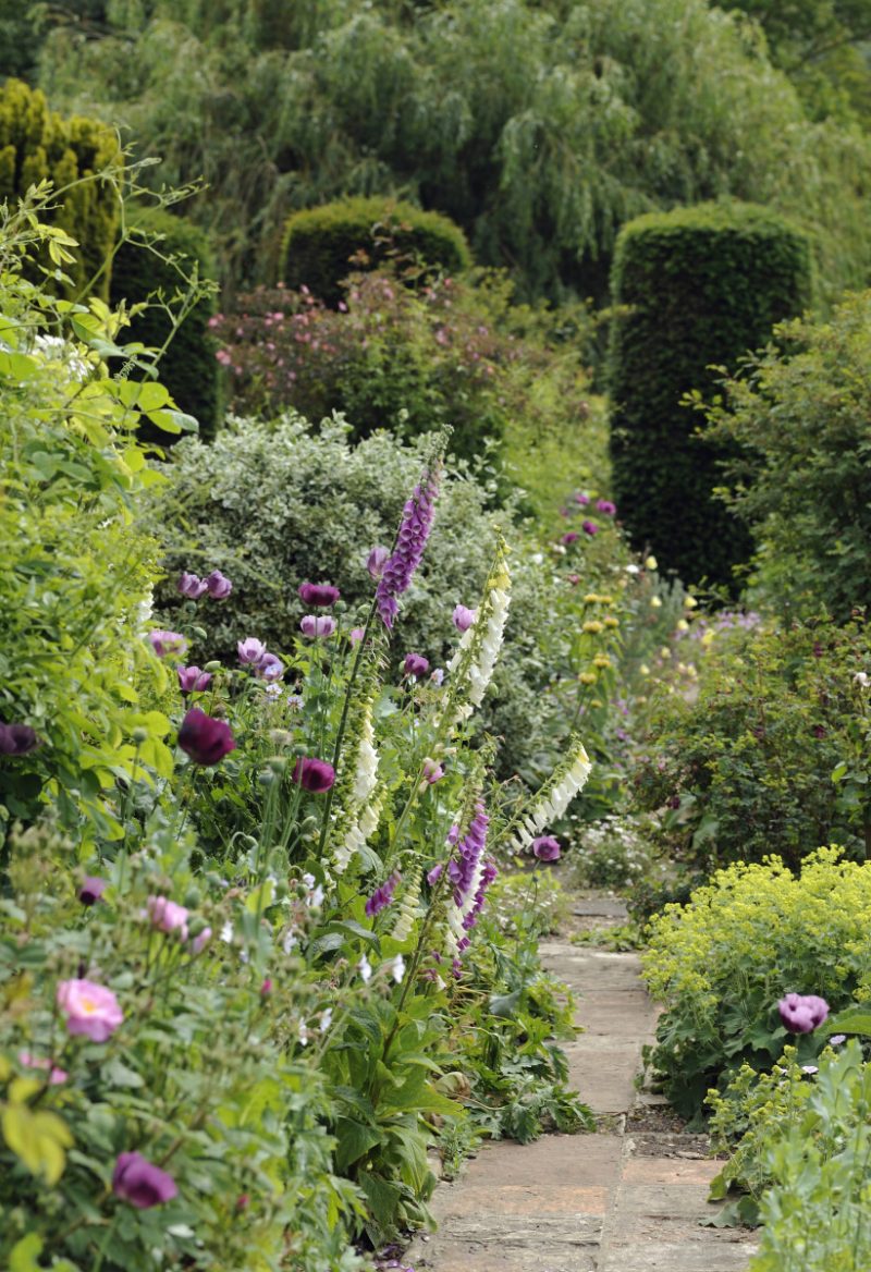 Elsing Hall Gardens | Paint Out